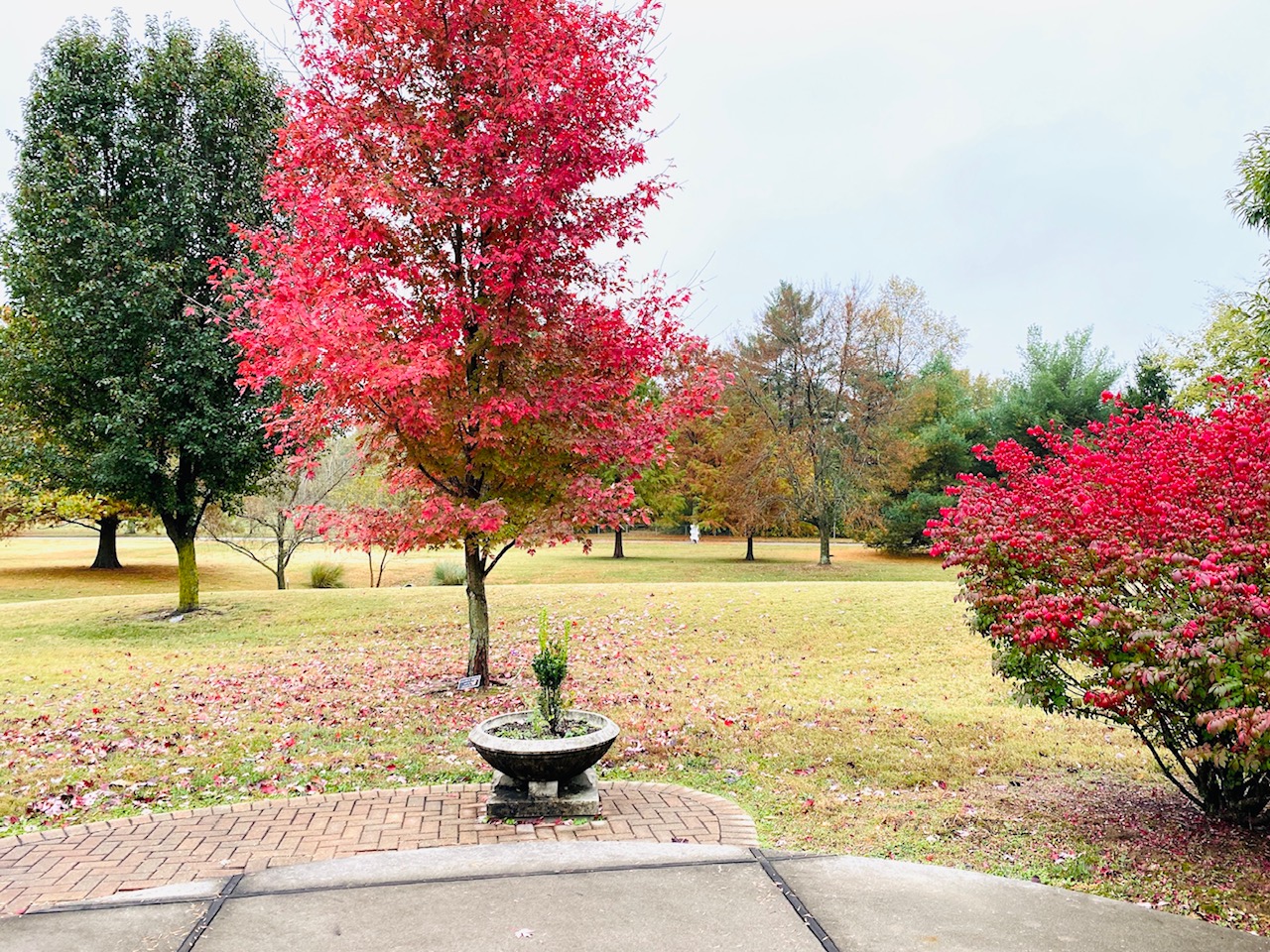 Fall Equinox - Carbondale Unitarian Fellowship